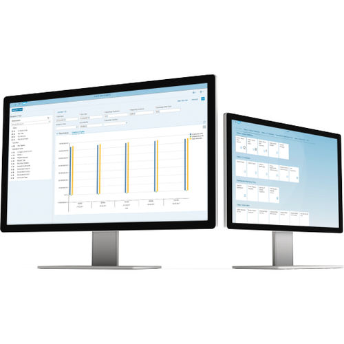 Financial management software - SAP - reporting / control / accounting