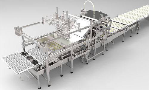 Hard cheese portioning machine - AFE - Alpma Alpenland Maschinenbau ...