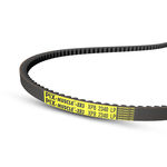 Toothed belt, Timing belt - All industrial manufacturers