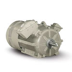 12-pole motor - All industrial manufacturers