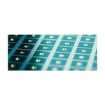 Photodiode array - All industrial manufacturers