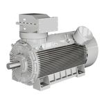 12-pole motor - All industrial manufacturers