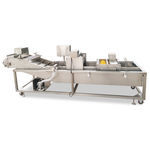 Fish washing machine, Fish food cleaning machine - All industrial ...