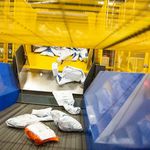 Parcel unloading system - All industrial manufacturers