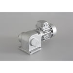 RGM Hollow-shaft gear-motors - All the products on DirectIndustry