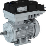 IP66 motor - All industrial manufacturers