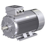 12-pole motor - All industrial manufacturers