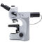 Inspection microscope - B-510MET - Optika Srl - metallographic ...