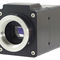 Surveillance camera - Hawk EM216 - Raptor Photonics - visible / EMCCD ...