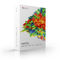 Viewer software - myVGL - Volume Graphics GmbH - data analysis / CAD ...