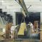 Chain conveyor - Daifuku webb - overhead / horizontal / power and free