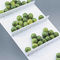 Cleat for conveyor belt - TATCH-A-CLEAT® - FLEXCO