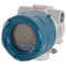 Glass flow monitor - B3100 - Badger Meter - remote