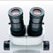Optical stereo microscope - SZX7 - Evident - Olympus Scientific ...
