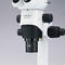Optical stereo microscope - SZX10 - Evident - Olympus Scientific ...