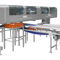 Chicken deboning machine - MAXIMA 2.0 - Foodmate BV - wings