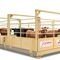 Livestock scale - LSC Series - Cardinal Scale - platform / lb / steel