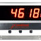 Remote display - RD2 - Cardinal Scale - LED / 7-segment / compact