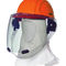 Arc protection face shield - PrismShield™ series - RAE Systems - UV ...