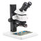 Optical stereo microscope - Leica M50/M60/M80 - Leica Microsystems GmbH ...