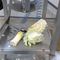 Vegetable slicing machine - Thermohran Engineering JSC - semi-automatic ...