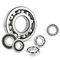 Ball bearing bearing - DGBB - Zhejiang Tianma Bearing Group Co.，Ltd ...