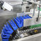 Sardine nobbing machine - Hermasa - Cannin Technology