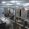 Cottage cheese cheese production line - Sordi SRL - automatic