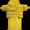 ANSI/AWWA C502 fire hydrant - Waterous Pacer - American Flow Control