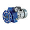 Variable-speed drive with flange - S-TXF - MOTOVARIO - industrial ...