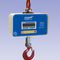 Hanging weighing scale - NHS series - Nitiraj Engineers Ltd ...