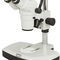 Optical stereo microscope - SMZ-168 Series - Motic - for research ...