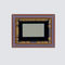 Diode array image sensor - IMX454LXR-C - Sony Semiconductors - near-infrared / multi-spectral ...