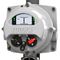 Valve actuator remote control - IQ, SI RHS - Rotork - corded / with ...