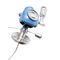 TDR-guided wave radar level transmitter - Rosemount™ 5300 - Emerson ...