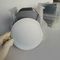 300 mm (12 inch) silicon wafer - ZLY336 - zoolied inc.