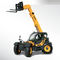 Telehandler - Samson 65.8 - DIECI S.r.l.