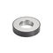 Rotary encoder magnetic ring - Nonius - RENISHAW