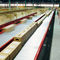 Roller conveyor - IntelliQ® ZoneFlex™ - Intelligrated - horizontal ...