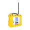 Portable monitoring system - AreaRAE Plus - Honeywell analytics ...
