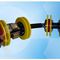 Multidiameter cleaning pig - PS_MDIAM - PETROSYSTEM - commissioning ...
