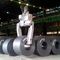 Coil lifter - Heppenstall Technology - horizontal / motorized