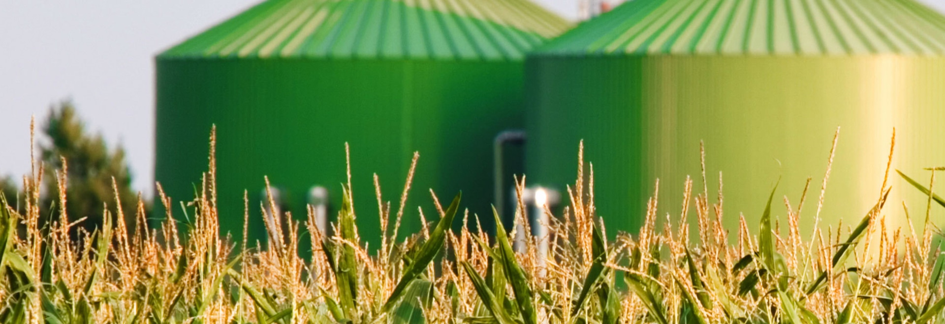Oxygen generator for biogas plant - Gewerbestraße 72, 82211 Herrsching ...
