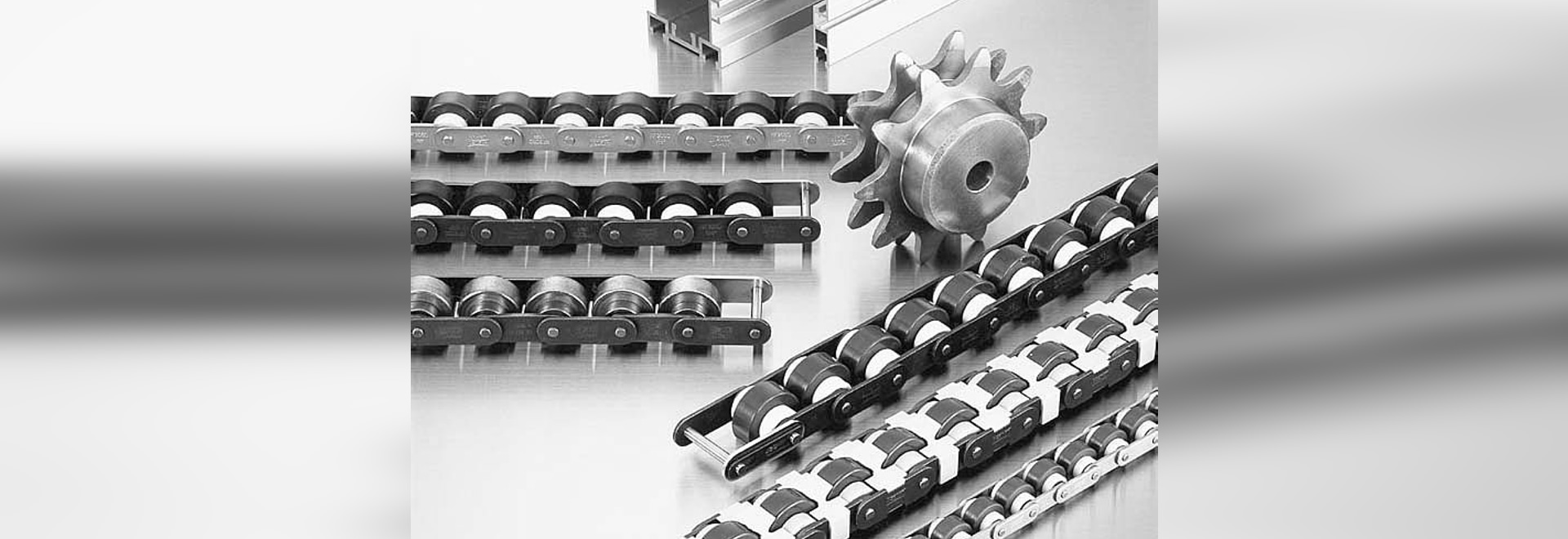 Tsubaki Double Plus Multi Free Flow Chain - Tsubakimoto Chain