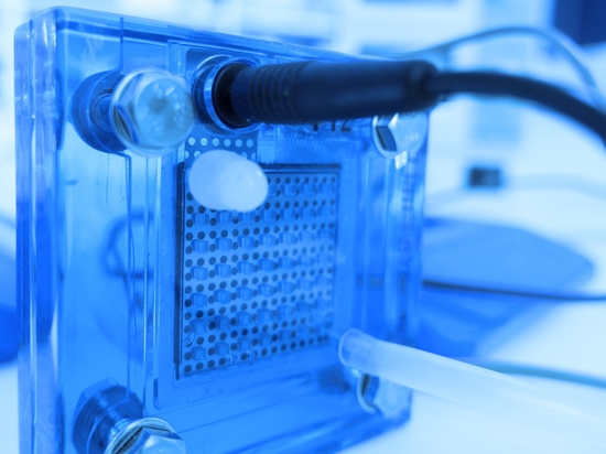 Characterizing Catalytic Inks for Fuel Cells - Malvern WR14 1XZ, UK ...