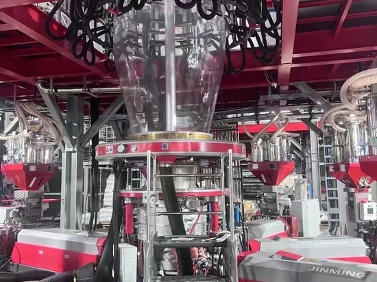 Driving Growth and Efficiency: How Bolsas de los Altos Leveraged TSM ...