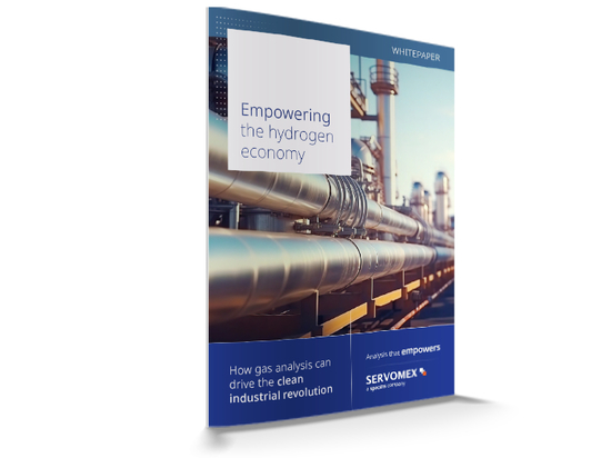 Learn more about our innovative TDL sensing technology - Sybron Way ...