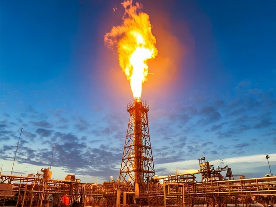 Onis Line Blind company News and Trends items