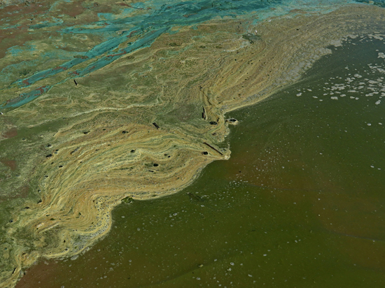 EXMA LTDA company News and Trends items