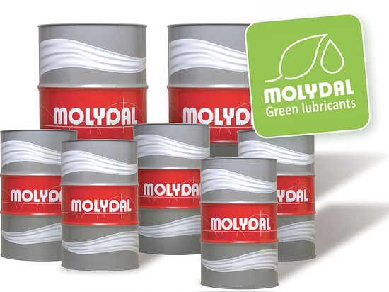 MOLYDAL company News and Trends items